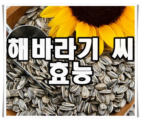 해바라기 씨 효능 부작용 정리