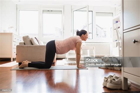 제목 애완용 고양이와 함께 집에서 요가하기설명 고양이가 관찰하는 동안 집에서 매트 위에서 요가를 연습하는 여성 자연 채광이 들어오는 밝고 현대적인 인테리어 나무 바닥 가구를