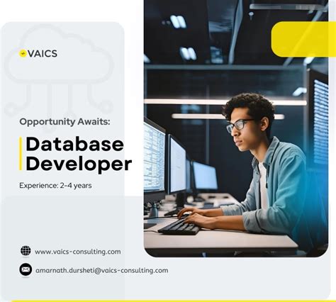 vaics vaicsconsulting developer coding software sql python