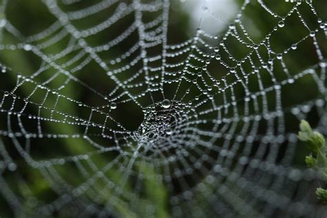learn how easy is to bypass firewalls using dns tunneling and also how to block it by roger