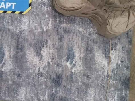 Project Cats Object Detection Dataset By Projectcat