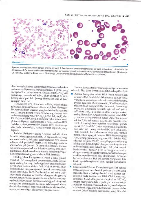 12 Sistem Hematopoietik Dan Limfoid Haryahutamas Halaman 7 Pdf