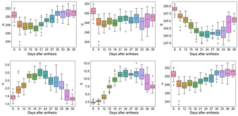 Comparison Of Different Machine Learning Algorithms For The Prediction Of The Wheat Grain
