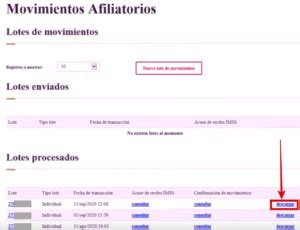 Constancia Presentación Movimientos Afiliatorios Imss En Pdf
