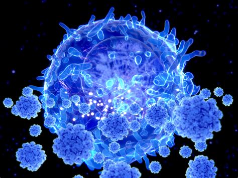 Vaccine Induced T Cells Provide Long Lasting Immune Response To COVID 19 Study