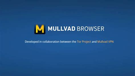 Mullvad Browser Le Alternative