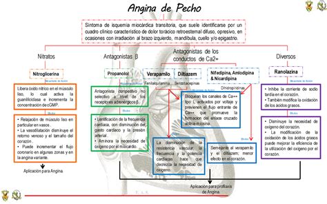 Angina De Pecho Tratamiento Farmacológico Rutptg