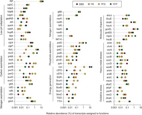 Comparative Metagenomic And Metatranscriptomic Analyses Of Microbial Communities In Acid Mine