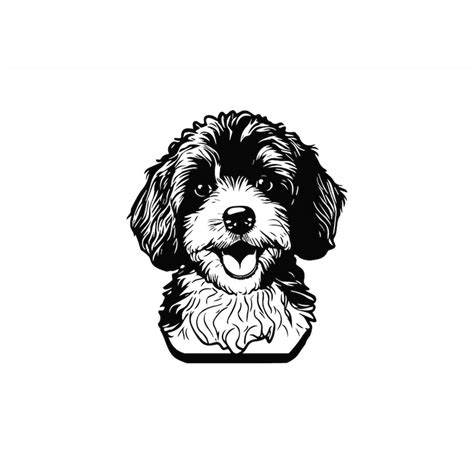 Cavapoo Head Svg Cavapoo Head Clipart Cavapoo Head Svg Fil Inspire