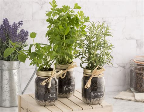 Make Your Own Kilner® Herb Jar Kilner®