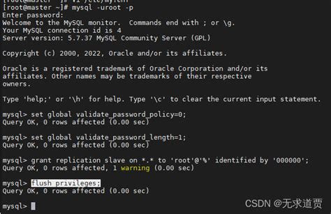 Mysql主从备份数据库服务器搭建mysql主备搭建无求道贾的博客 Csdn博客