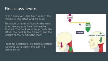 First Second And Third Class Levers Physical Education By Emilia S Resources