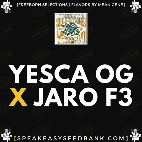 Yesca Og X Jaro F3 • The Next Big Thing Just Arrivedget Ready