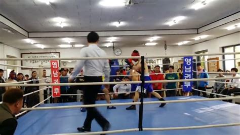 복싱 프로테스트 배바지 스타일 조심하세요 Boxing Protest Youtube