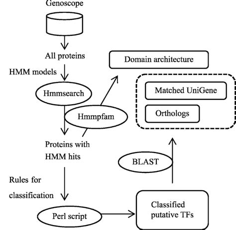 Pipeline For The Identification Classification And Annotation Of