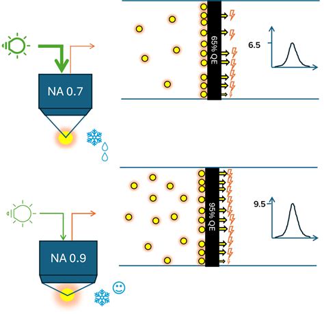 The Case For Sensitivity In Integrated Fluorescence Microscopes
