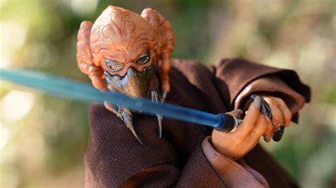 Plo Koon Vie Personnelle Plo Koon Ssmsr