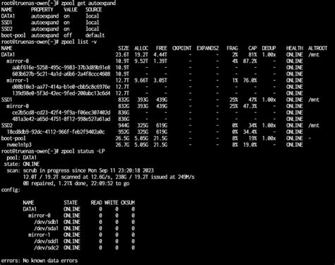 Replaced Mirror With Larger Drives But Cant Expand Pool Truenas Community
