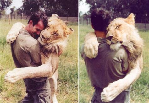 Lion Hugging Man Facts About