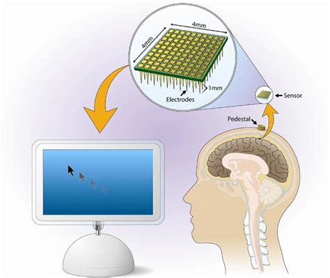 Brain Control Device