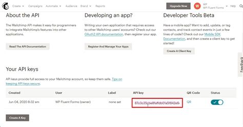 How To Create A Mailchimp Signup Form For Your Website Fluent Forms