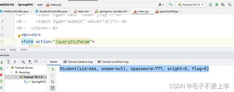 Springmvc在页面获取参数4使用参数自动绑定功能的时候 Csdn博客