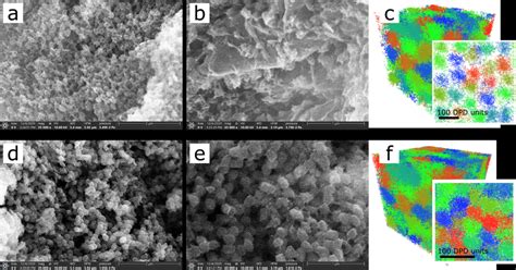 Sem Microphotographs Of Microgel Macromaterial Cross Sections A B