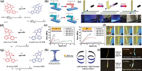 A Structure Of Polymerizable Oamm 16 And 17 B Schematic Illustration Download Scientific