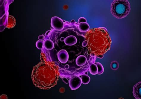 Stem Cell India New England News
