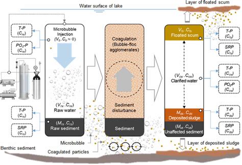 Schematic Diagram Of P Trace Investigation For The Stepwise