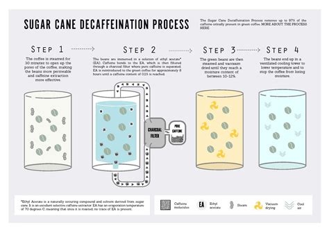 Decaffeination Processes Falcon Micro