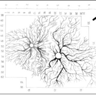 Schematic Representation Of A Portable Ground Penetrating Radar GPR Download Scientific