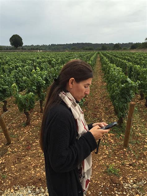 Going Underground Claudine Gaunouxs Domaine Francois Gaunoux A Burgundy Secret
