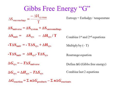 Gibbs Free Energy