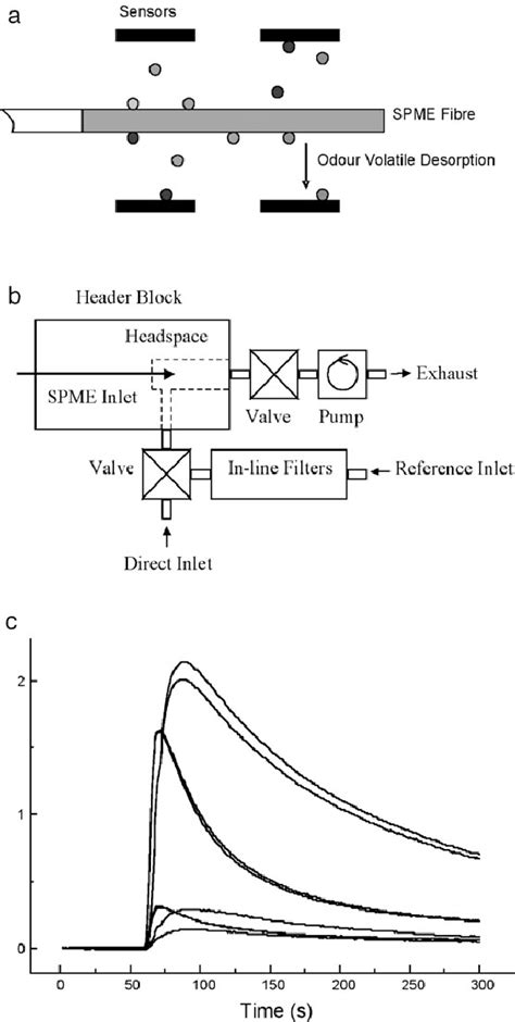 A Solid Phase Microextraction Fibre Thermal Desorption Of Adsorbed Download Scientific