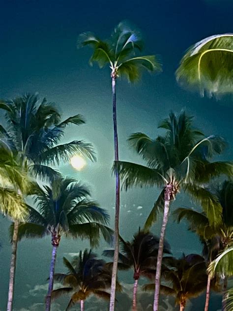 teri radichel 🩵 on linkedin timeout