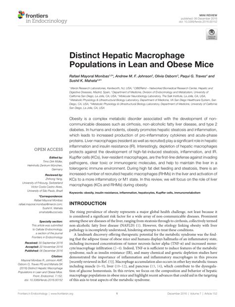 PDF Distinct Hepatic Macrophage Populations In Lean And Obese Mice