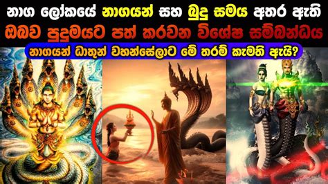 නාගයන් සහ බුදු සමය අතර තිබෙන විශේෂ සම්බන්ධය Youtube