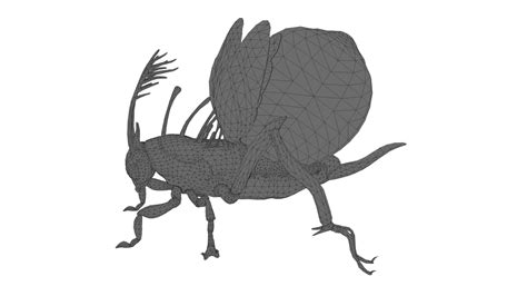 3d Model Bug Turbosquid 2303306