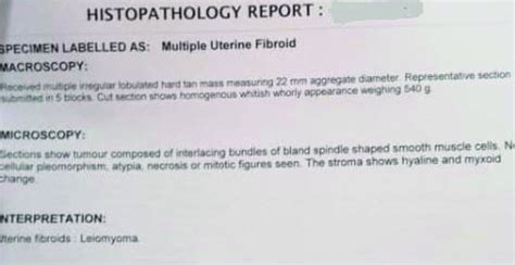 Histopathology Report Histopathology Report Download Scientific Diagram