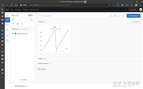 Pytorch轻量级可视化工具wandb免翻墙版 知乎