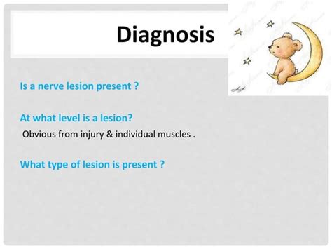 Introduction To Periphral Nervous Sys Ppt