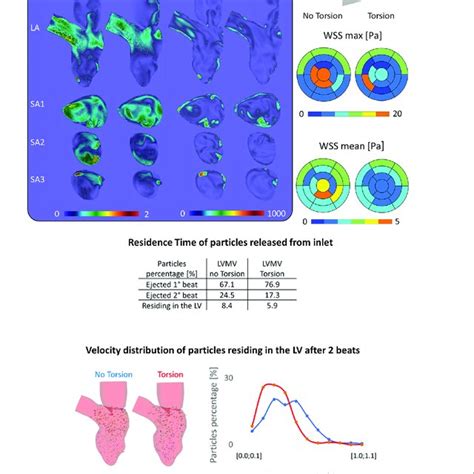Panel A Mitral Valve Segmentation From Cine Radial Mri Images Panel Download Scientific
