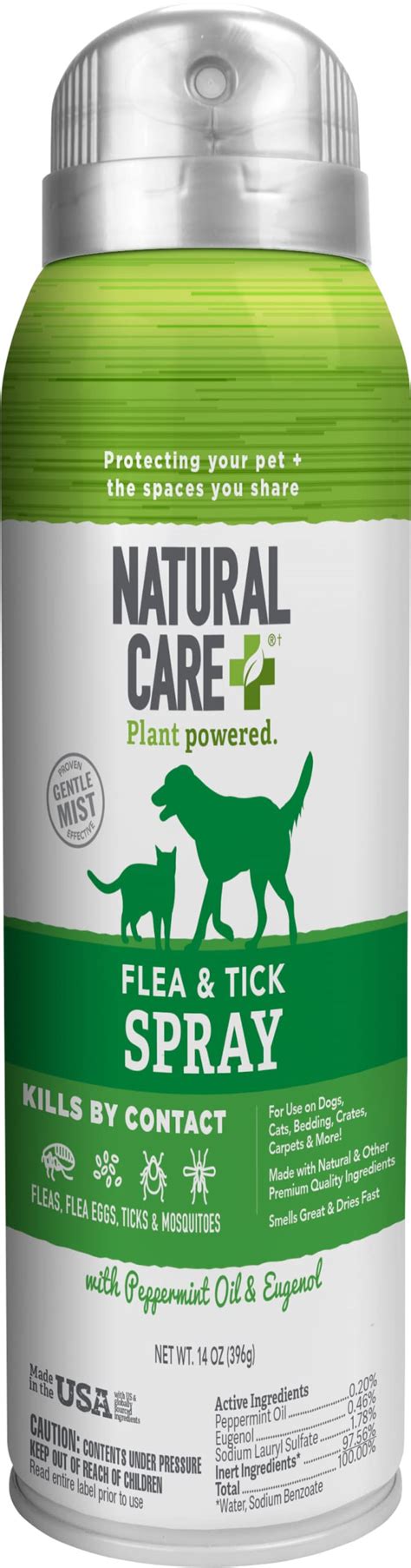 Homemade Natural Flea Control For Dogs At Scott Lanier Blog