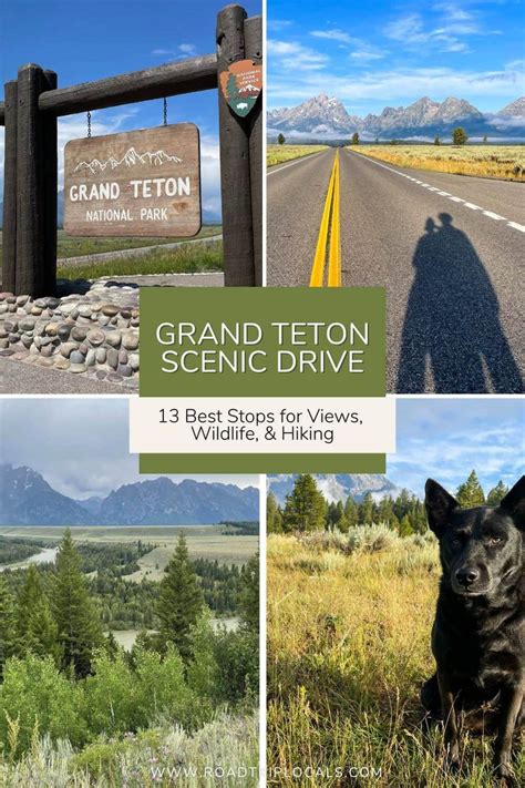 Grand Teton Scenic Drive 13 Best Stops For Views Wildlife And Hiking