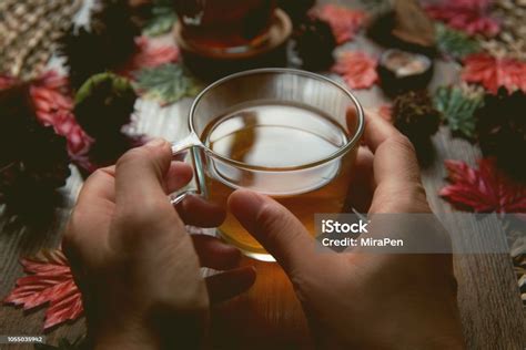 여성 손 나무 바탕에 로즈 힙 차에서 차 한잔과 엉덩이 장미 꽃다발을 들고 계절 비타민 음료입니다 가 배경입니다 가을에 대한 스톡 사진 및 기타 이미지 Istock