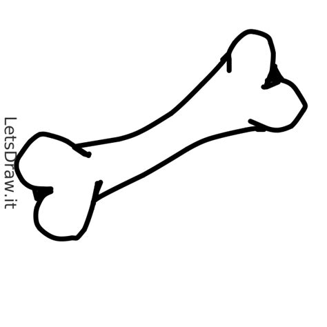 How To Draw Bone Zb8b8cu4o Png Letsdrawit