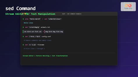 Cut Command Linux Extract And Process Columns From Text Files