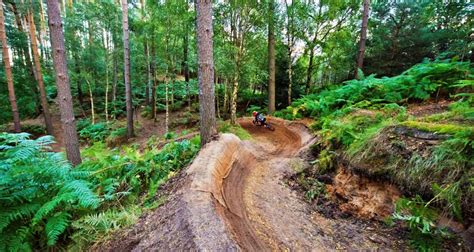 Woburn Bike Park And Trails Woburn