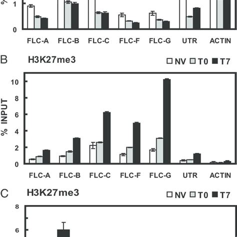 Histone Modifications At The Flc Locus Immunoprecipitated Dna Was